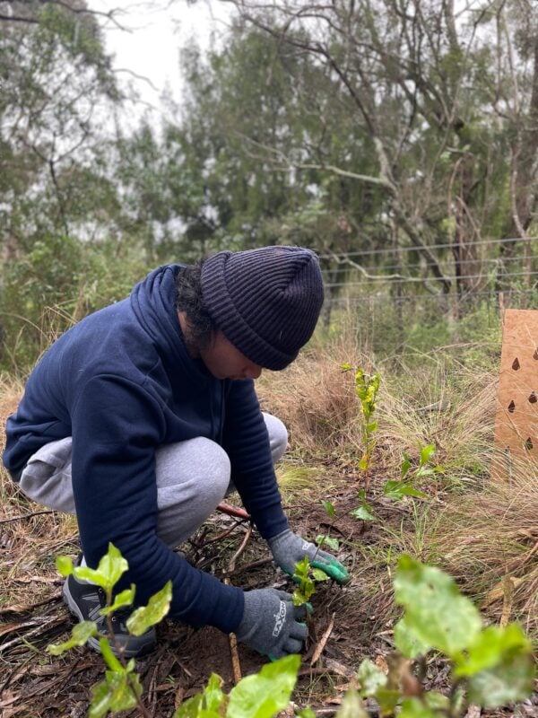 'Service to Others Really Matters': A STORMCo Revival - Victorian ...